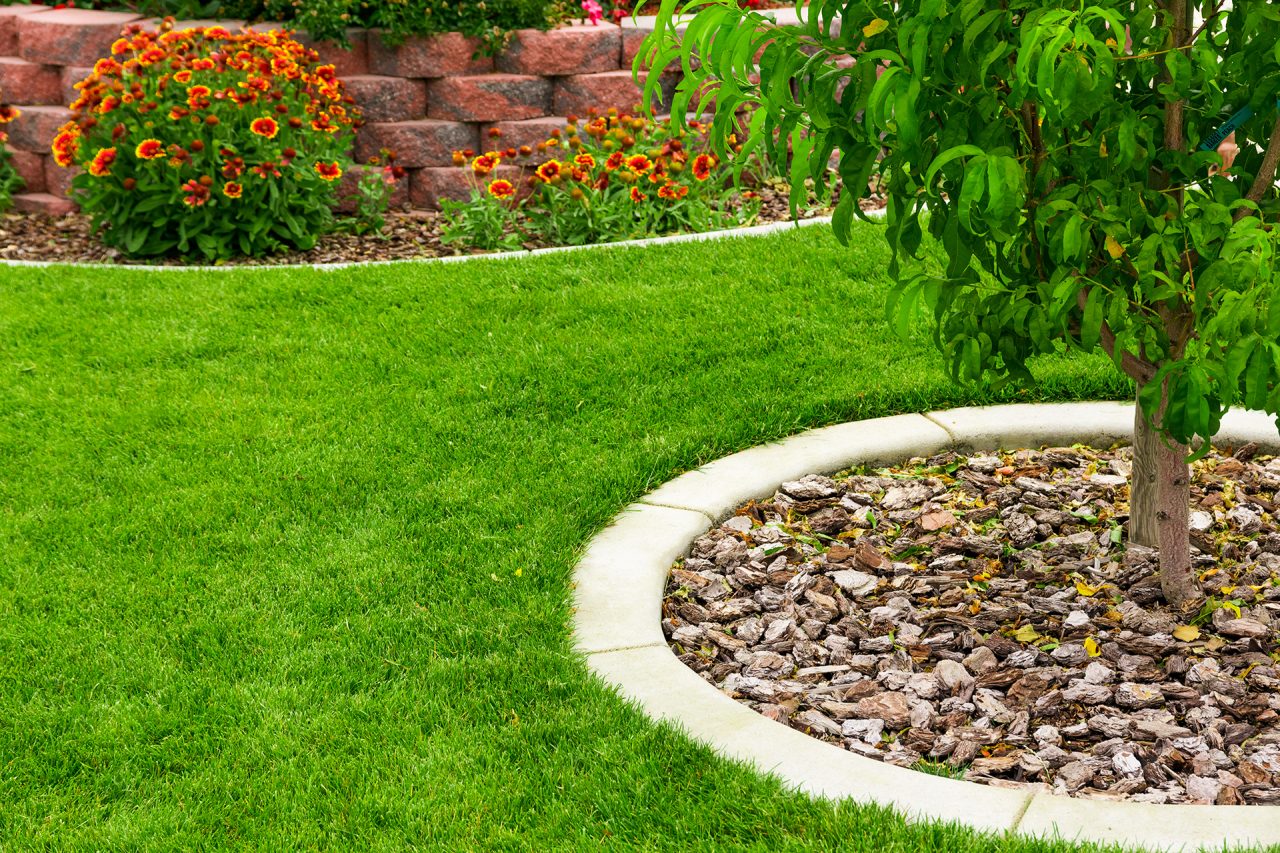 Aeration and Overseeding | Lawn Aeration by Turf Medic | PA Overseeding ...