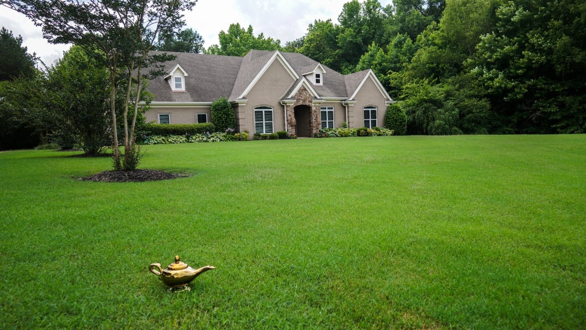 What Is Sod? Exploring Types, Uses, And Advice on Cultivating - Lawn ...