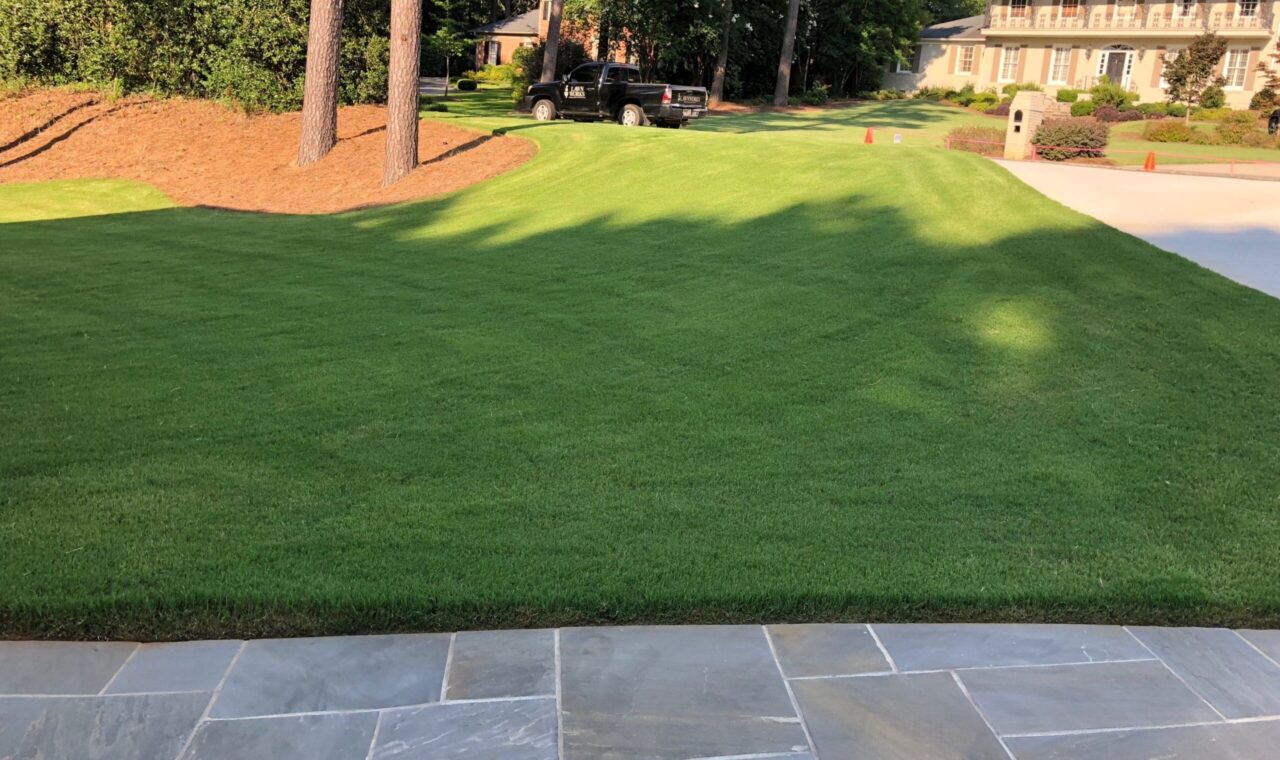 What Is Sod? Exploring Types, Uses, And Advice on Cultivating - Lawn ...