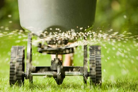 Overseeder Guide: Using an Overseeding Machine for Lawn Care